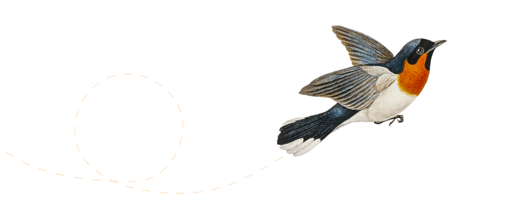 Avian Flight Initiation Distances