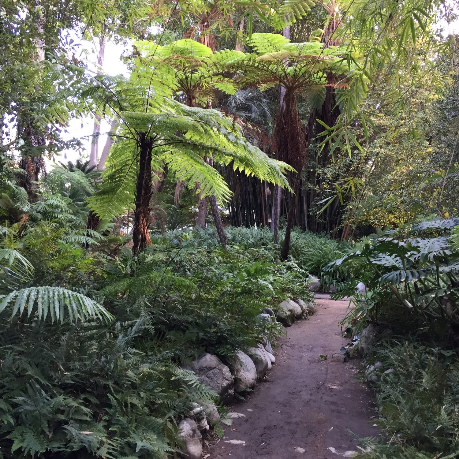 Garden Collections - Mathias Botanical Garden