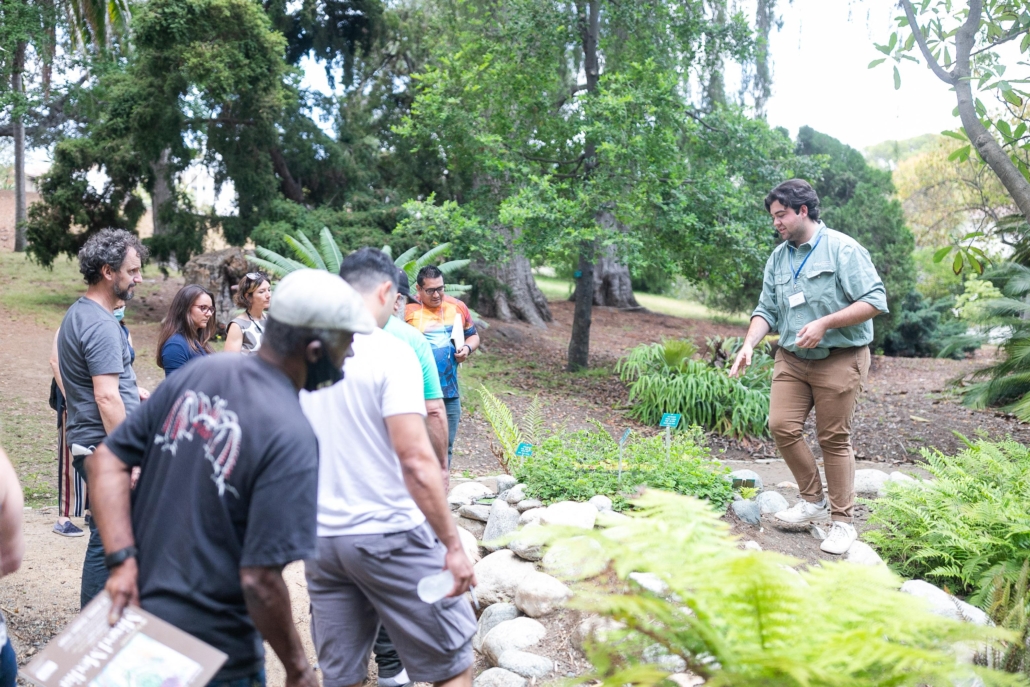 Biomimicry in the Garden: Drawing Inspiration from Plants for ...