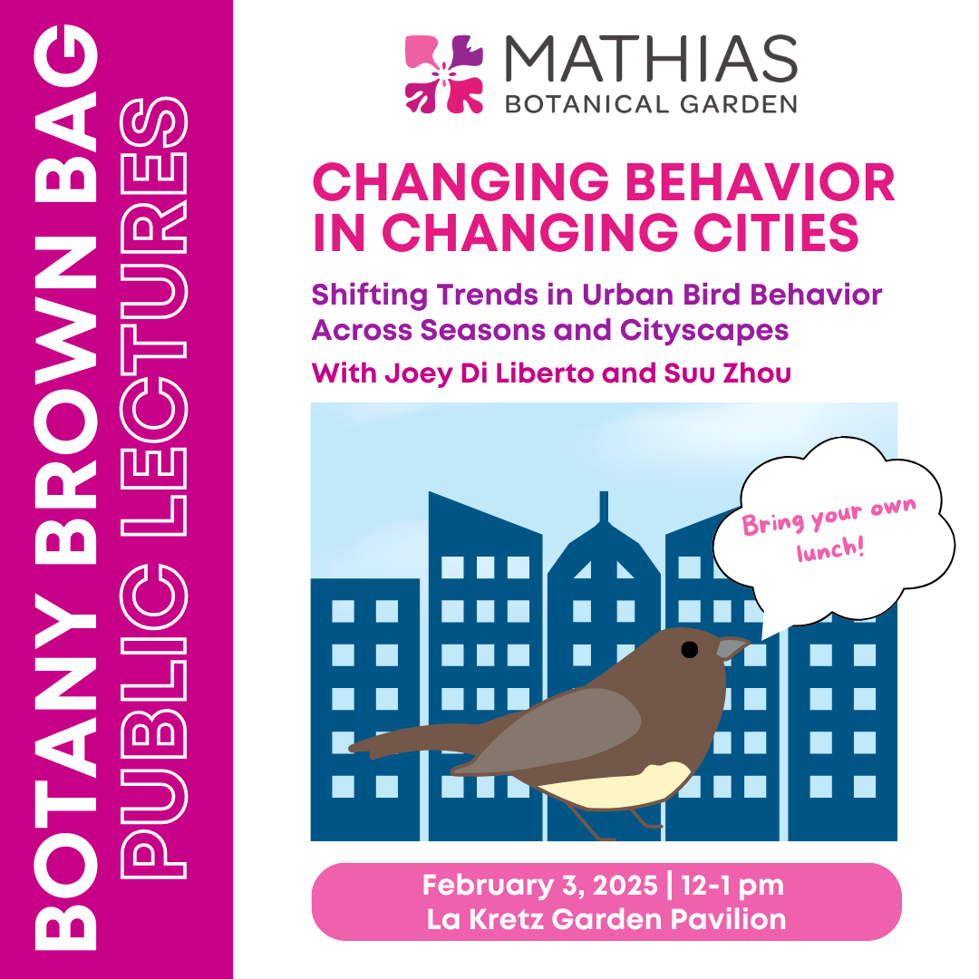 Botany Brown Bag: Changing Behavior in Changing Cities by Joey Di ...