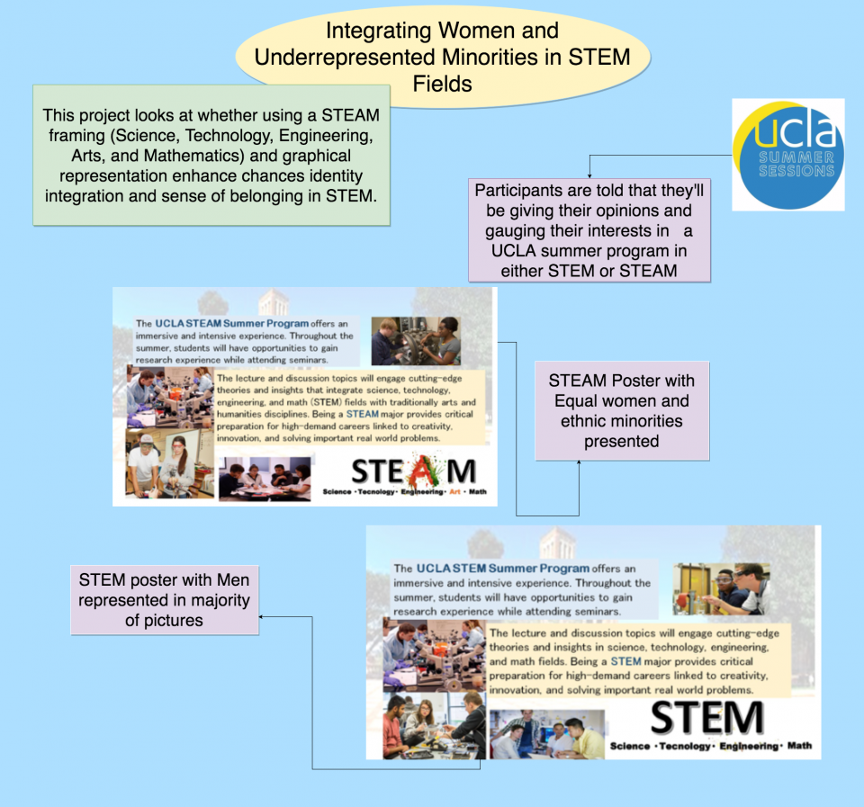STEAM | Culture and Contact Lab