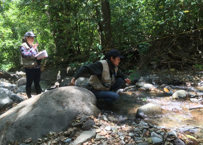 Grether Lab | UCLA Department of Ecology & Evolutionary Biology