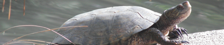 Contact – Shaffer Lab at UCLA