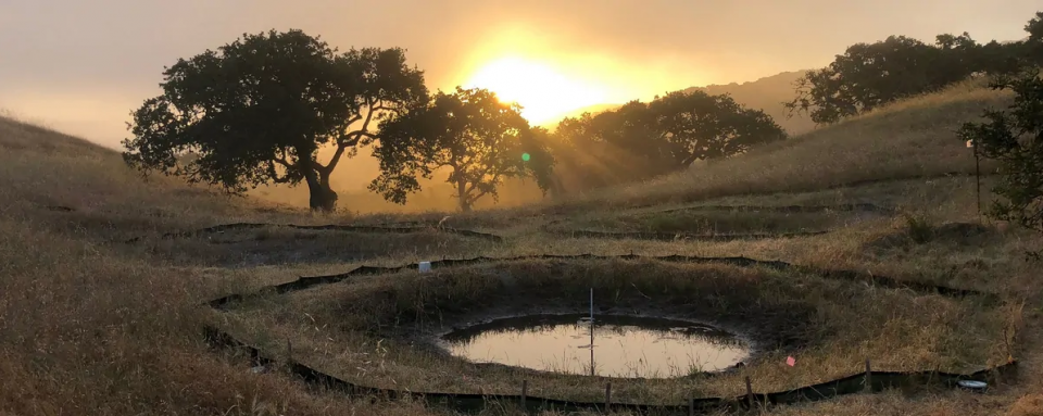 Robert Cooper and Brad Shaffer in The Scientist: Severe Drought, Heat ...