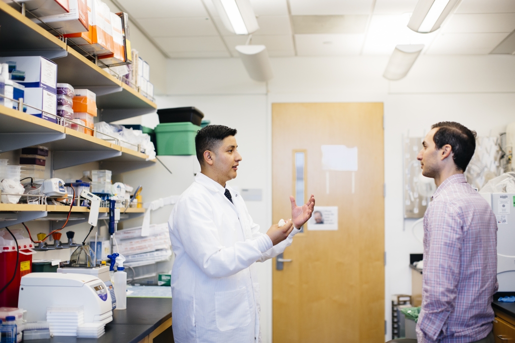 Molecular, Cell and Developmental Biology