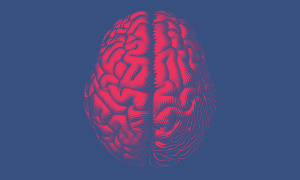 UCLA Cognitive Neuroscience Lab