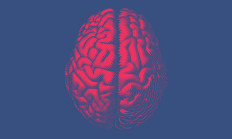 UCLA Cognitive Neuroscience Lab