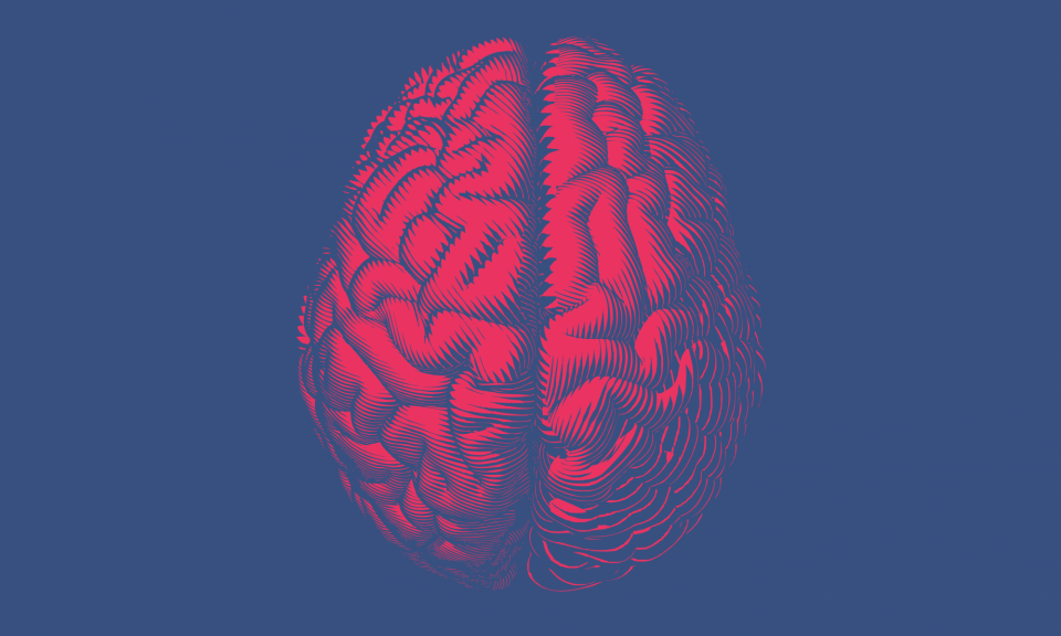 Recent Publications – UCLA Cognitive Neuroscience Lab