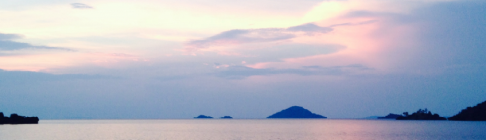 Publications | The TRUST Lab