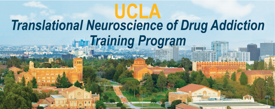 UCLA NIDA TNDA T32 | UCLA Translational Neuroscience of Drug Addiction ...