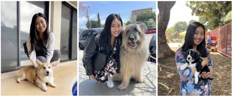 Furry Prescription: The Healing Powers of Pet Interaction – Psychology ...