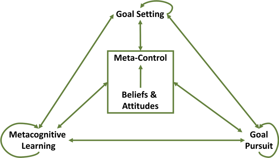 Rational Process Models – The Rational Altruism Lab