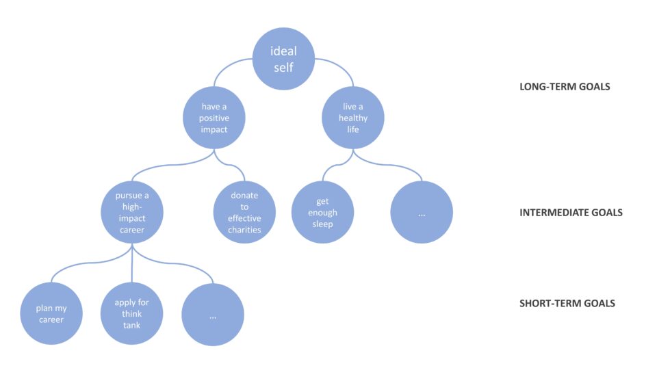 Effective Goal-Setting – The Rational Altruism Lab