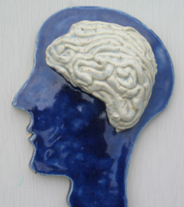 Research Interests | The Rissman Memory Lab
